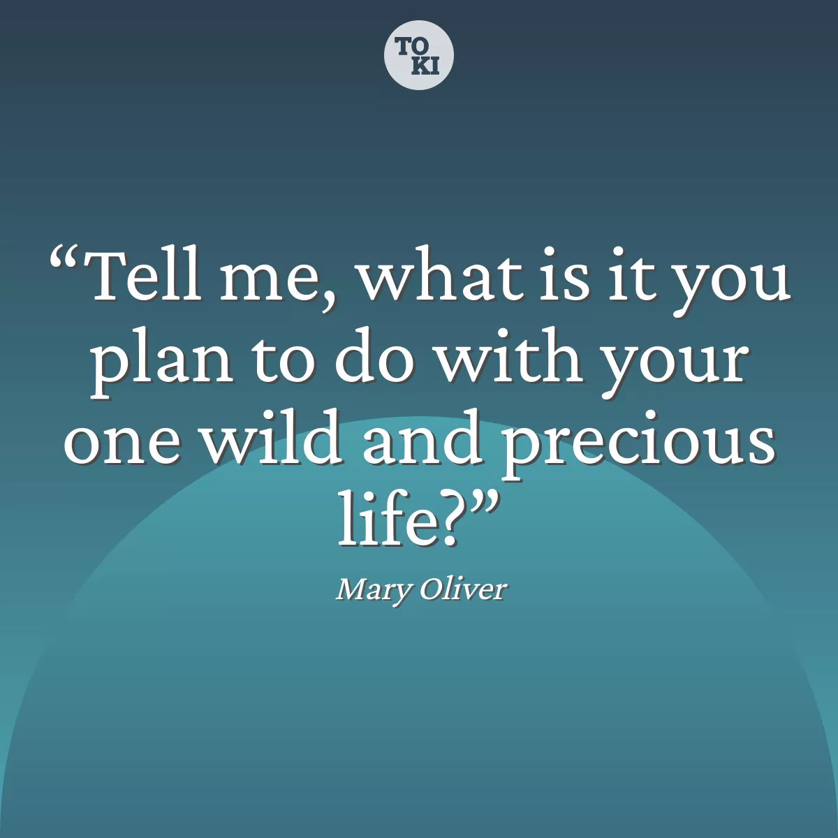 Mary Oliver quote about purpose. Tell me, what is it you plan to do... Meaning